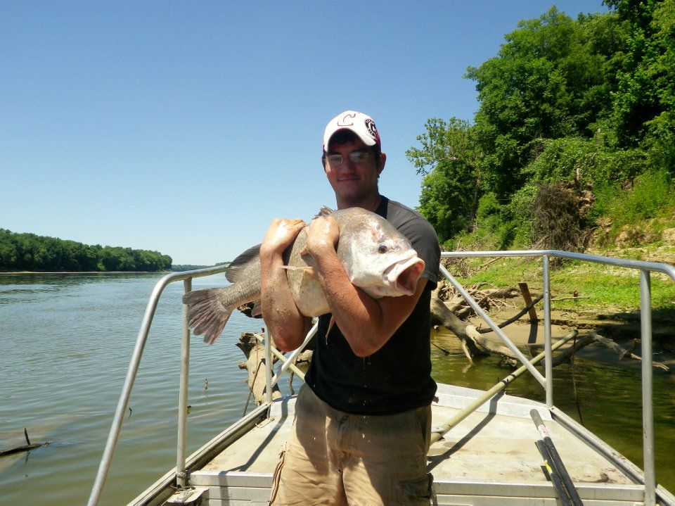 Robert Colombo: Pictures